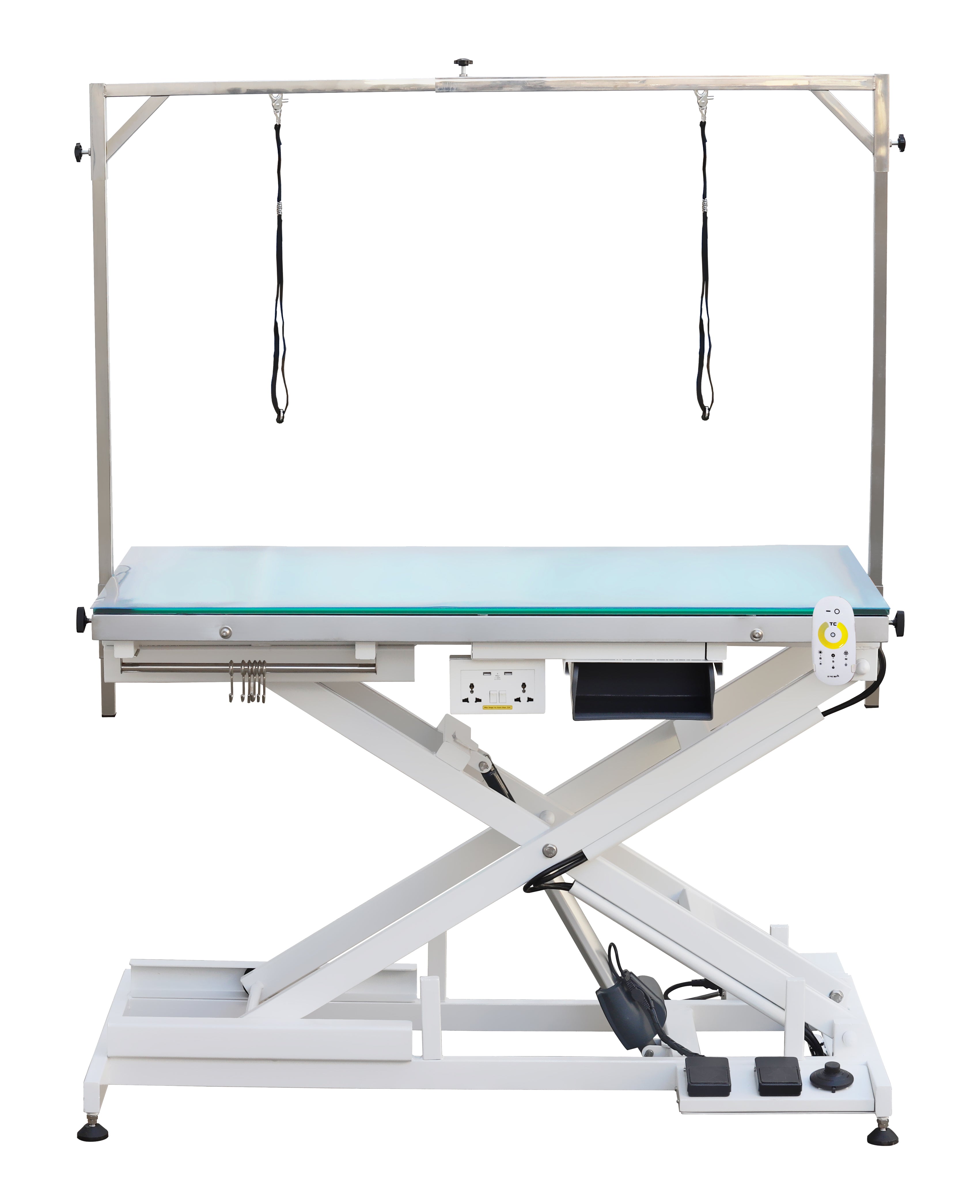 Electric LED Grooming Table with Linak Lift – Assopet
